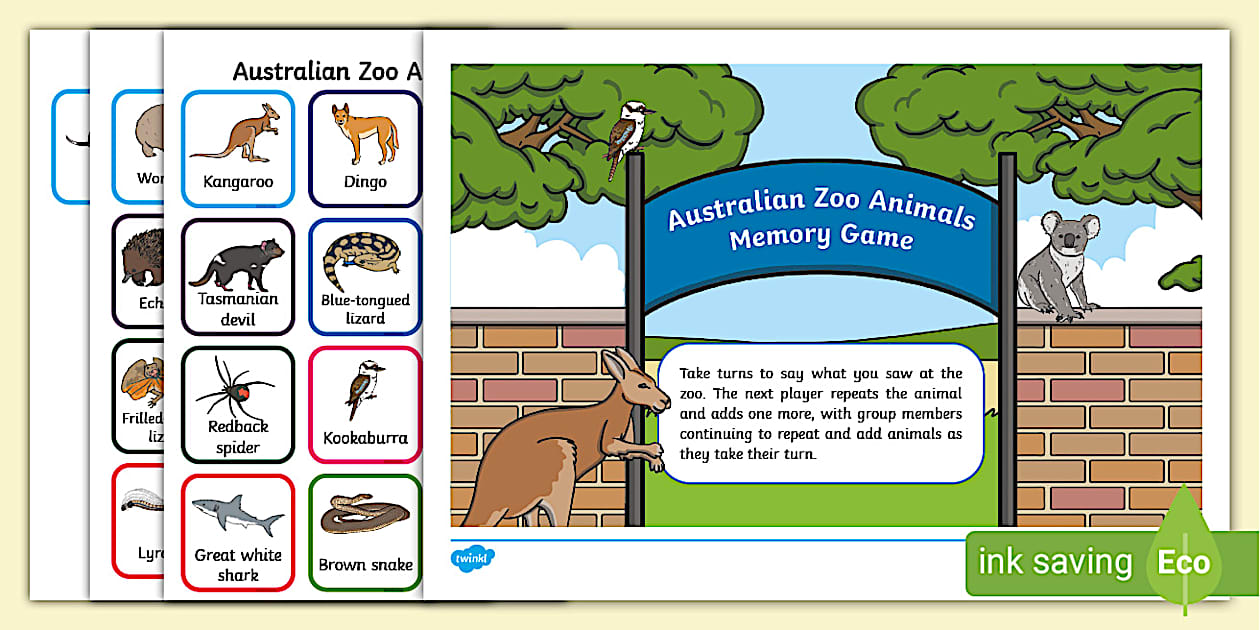 Australian Zoo Animals Memory Game (teacher made) - Twinkl