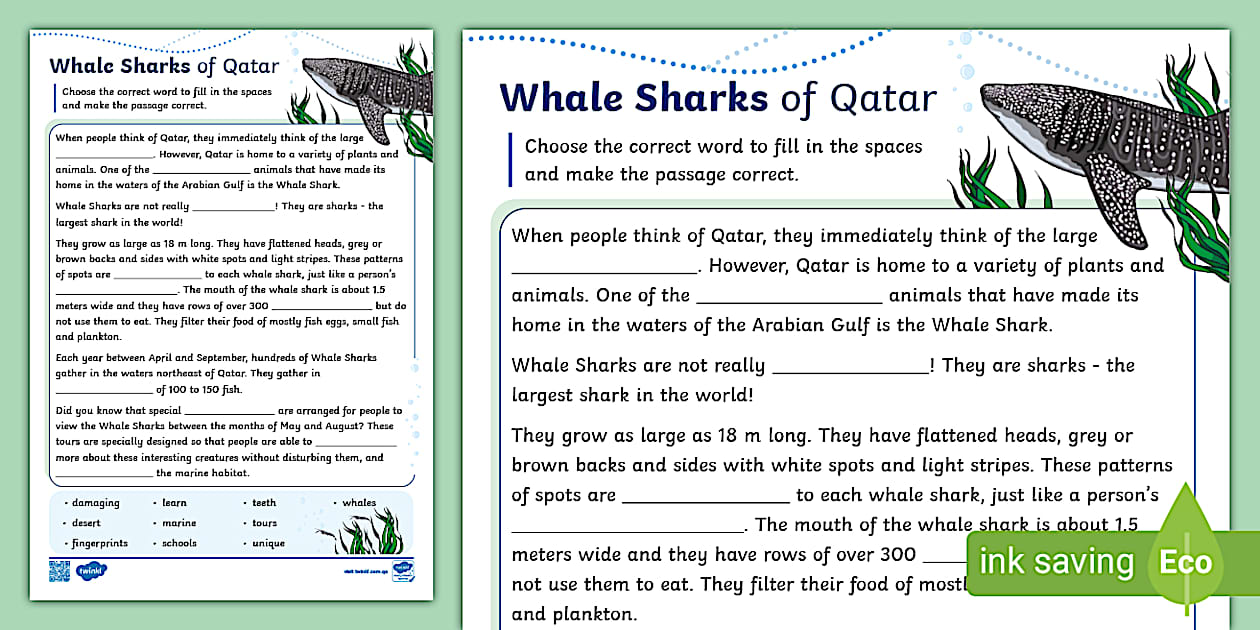 Whale Sharks of Qatar Worksheet (teacher made) - Twinkl
