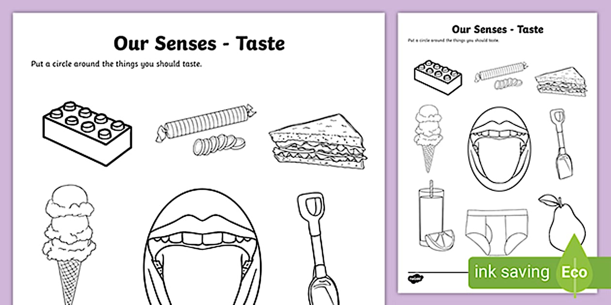 Our Senses - Taste | Twinkl Senses (teacher made) - Twinkl