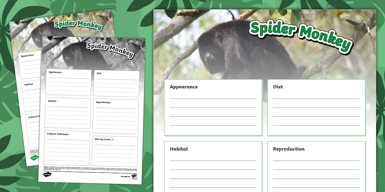 Spider Monkey Fact File Template (Teacher-Made) - Twinkl