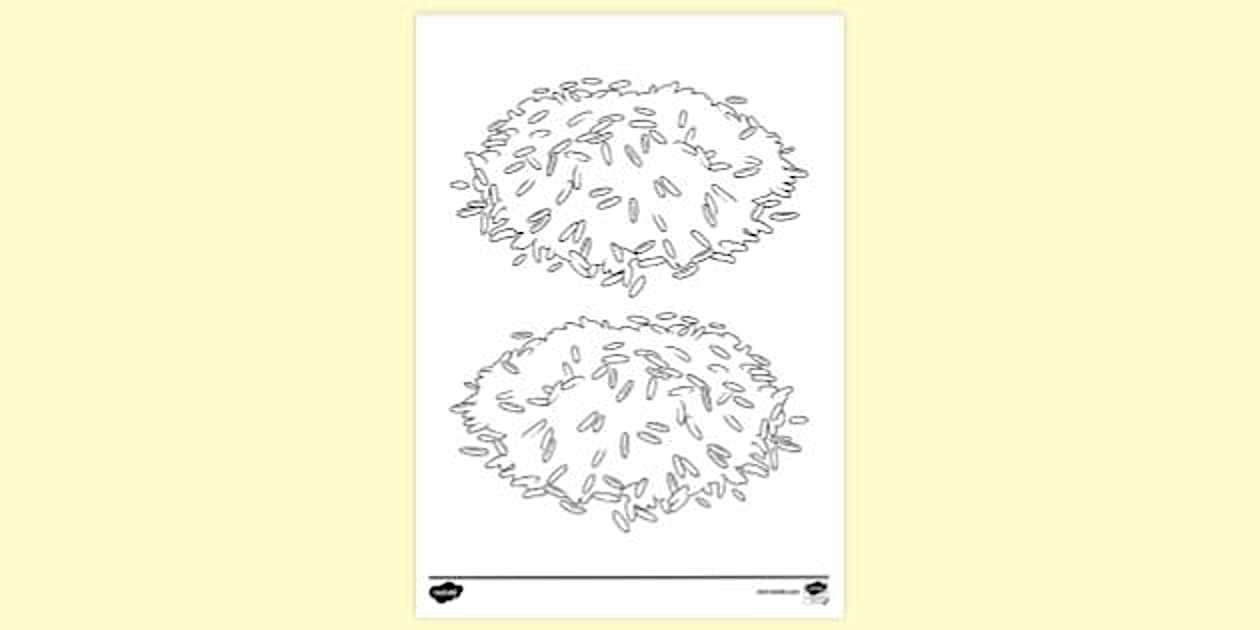 Golden Rice Colouring Sheets | Colouring Pages - Twinkl