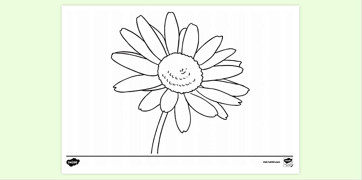 Yellow Daisy Flower Colouring Sheet | Colouring Sheets