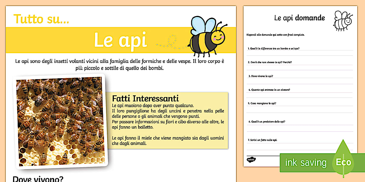 Lettura sulle Api per Scuola Primaria | Giornata delle Api