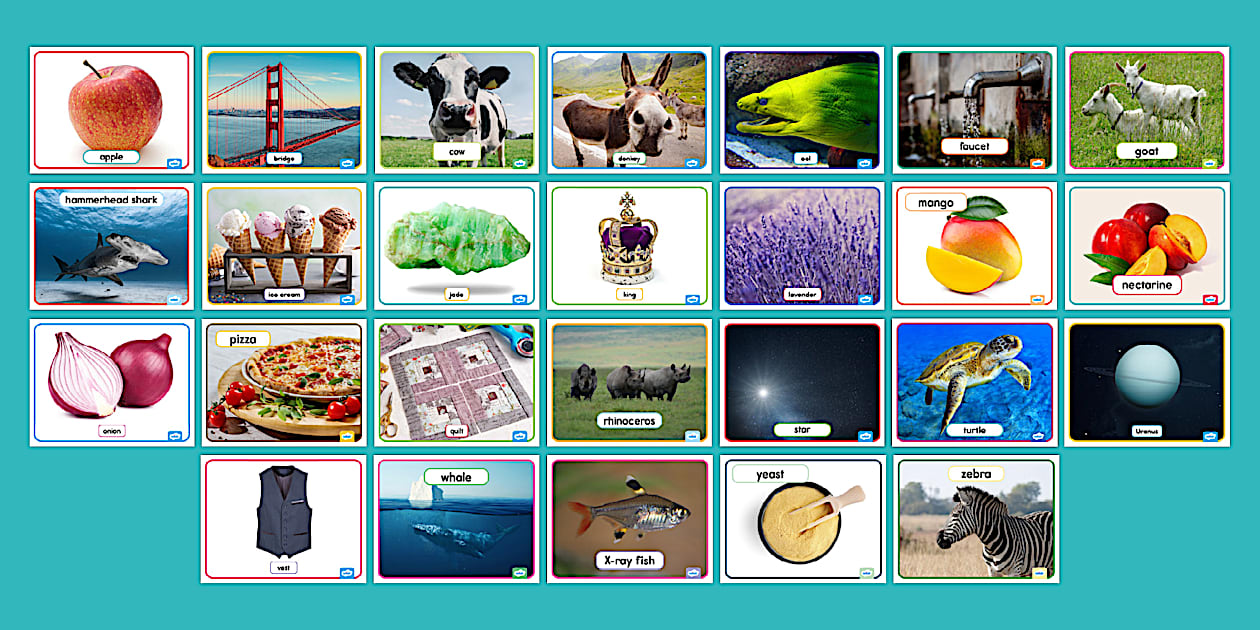 Things That Start With ... Photo Pack (teacher made)