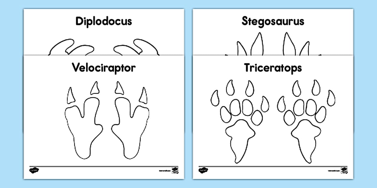 Dinosaur Footprint Template | DINOvember | Twinkl USA