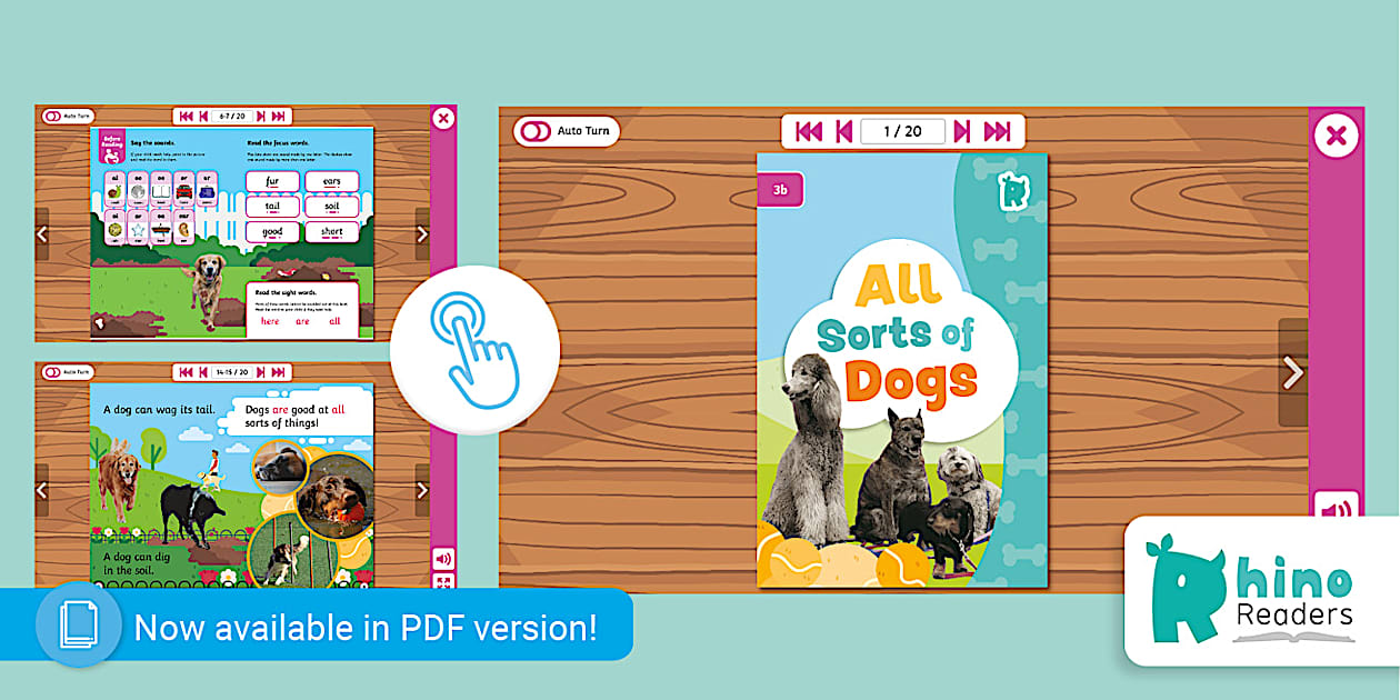 Level 3b Decodable Readers: All Sorts of Dogs (teacher made)