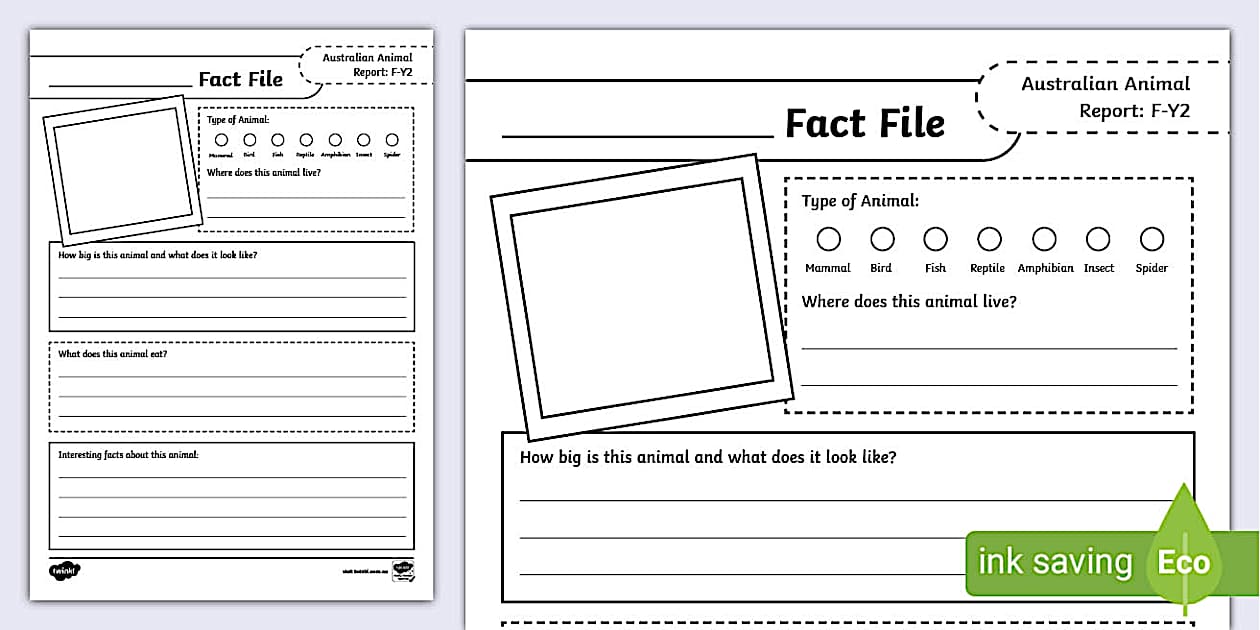 Animal Information Report Plan | Science | F-2 - Twinkl