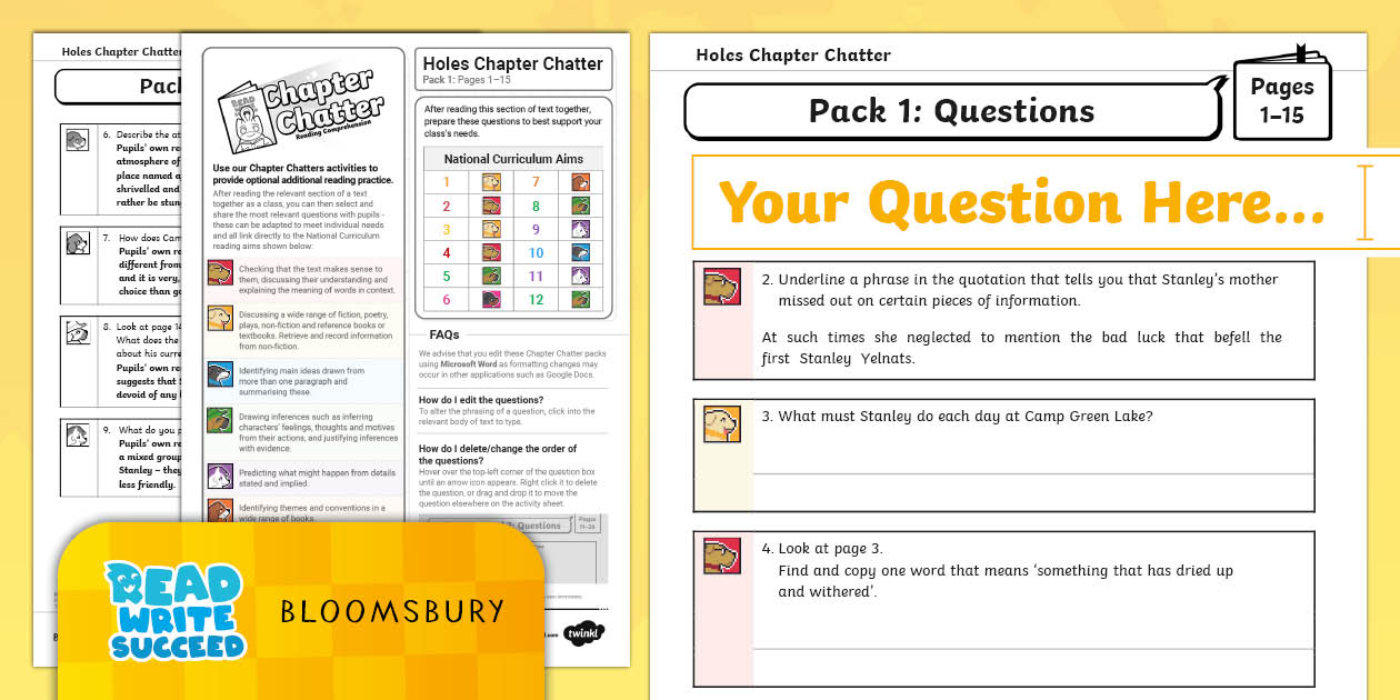 FREE! - Holes Chapter Chatter Bumper Pack (teacher made)