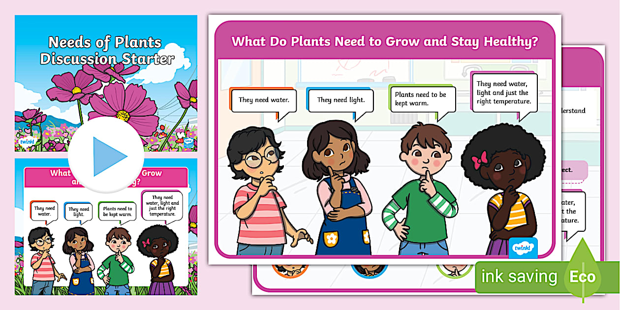 Needs of Plants Discussion Starter (teacher made) - Twinkl