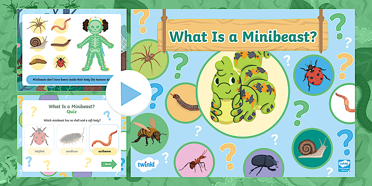 What Is a Minibeast? PowerPoint and Quiz (teacher made)