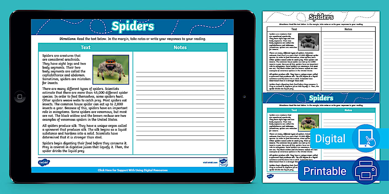 Fourth Grade Spiders Reading and Note-Taking Worksheet