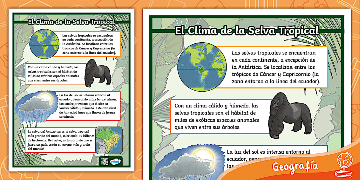 Póster | Clima | Selva Tropical | geografía | 4º Básico