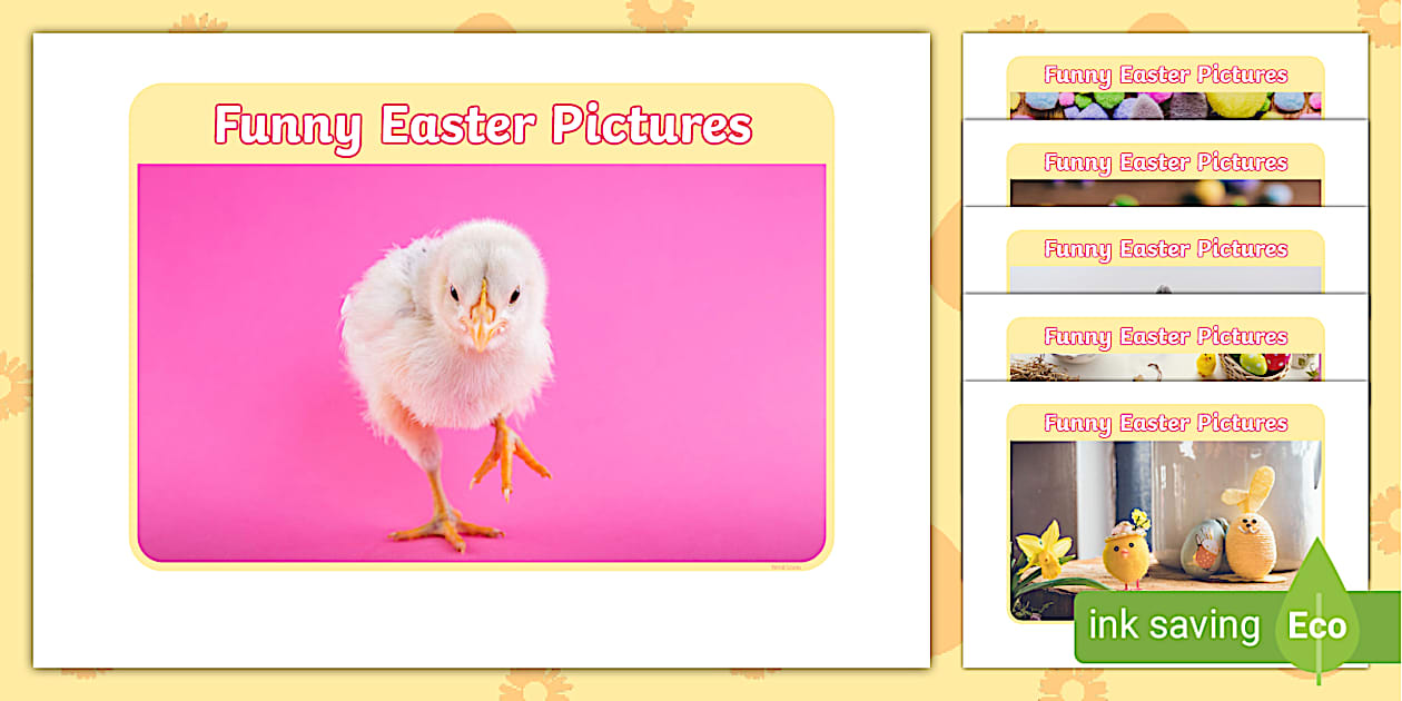 Funny Easter Photo Pack (Teacher-Made) - Twinkl