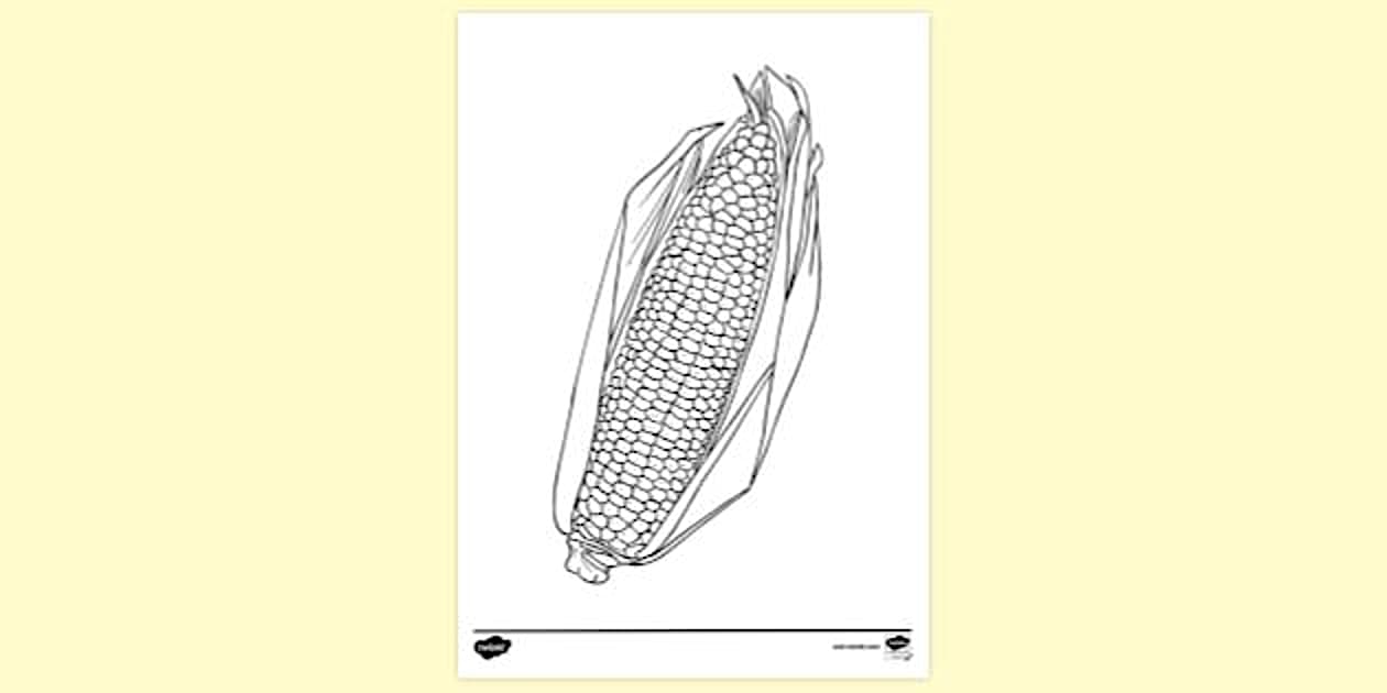 Corn Plant Colouring | Colouring Sheets - Twinkl