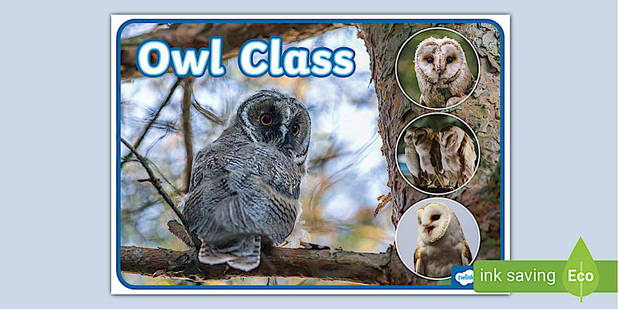 Owl Class Photo Display Poster (teacher made) - Twinkl