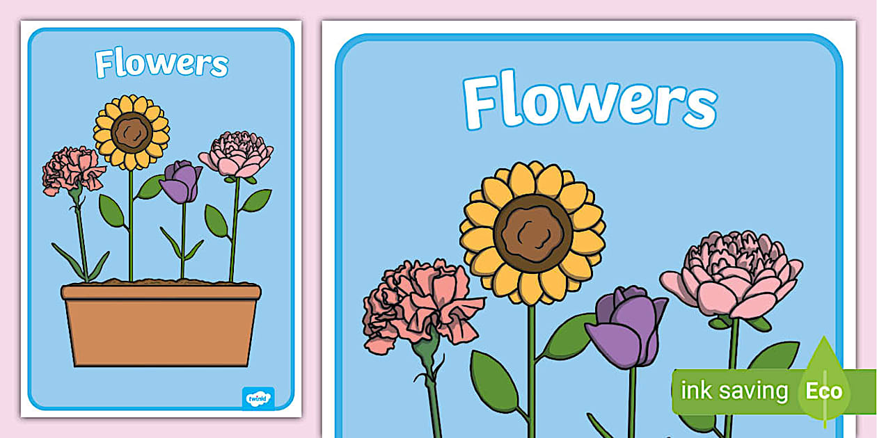 Free! - Printable Flowers Poster | Primary Resources