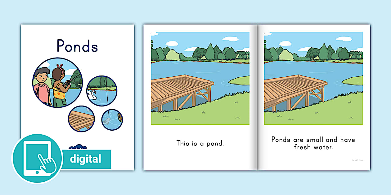 Ponds Emergent Reader eBook (Teacher-Made) - Twinkl