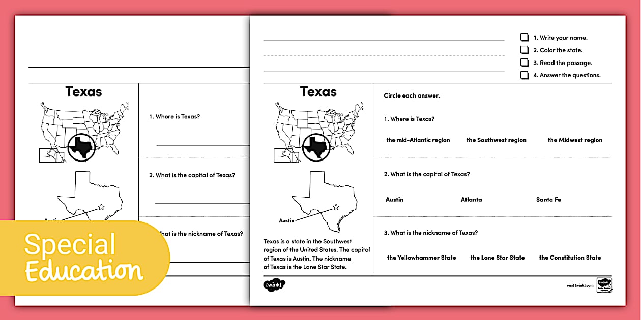 Texas State Report Worksheet for Special Education - Twinkl