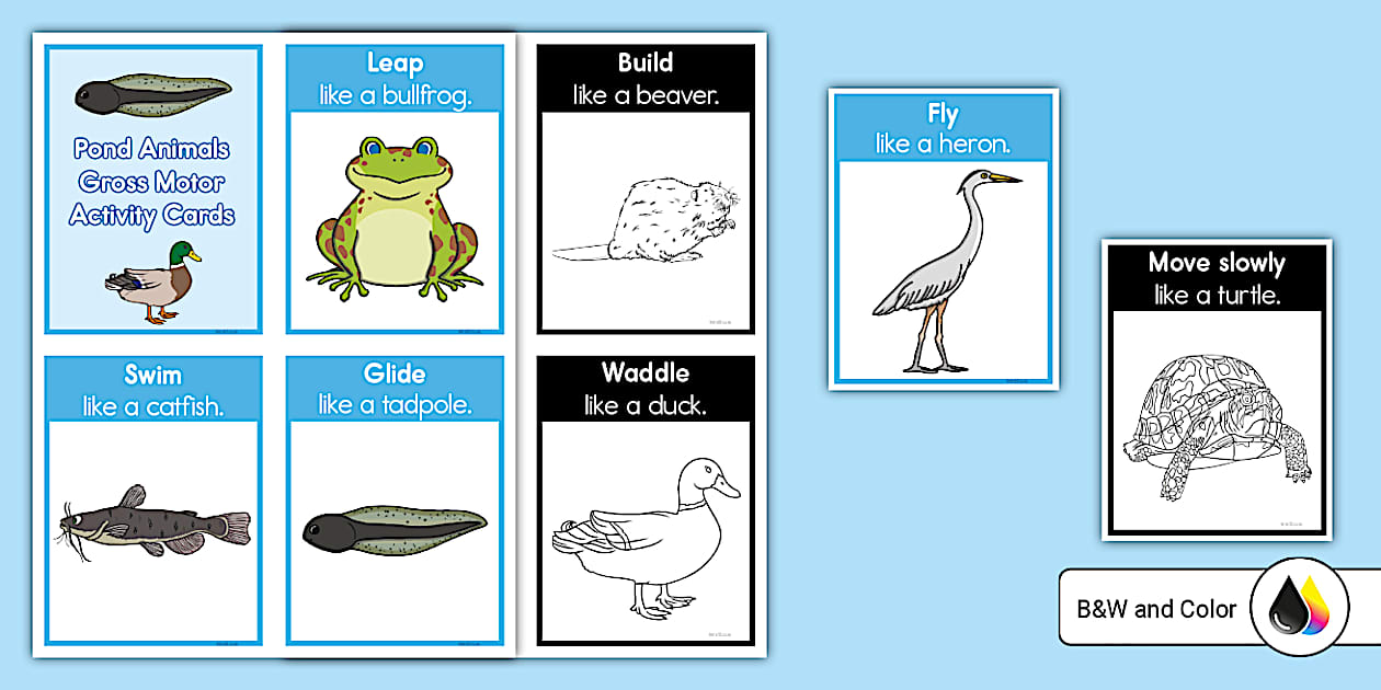 Pond Animals Gross Motor Activity Cards (teacher made)