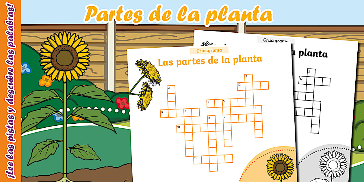 Crucigrama: Las partes de la planta