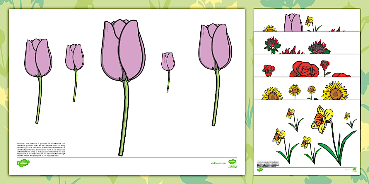 👉 Flower Size Ordering Activity (teacher made) - Twinkl