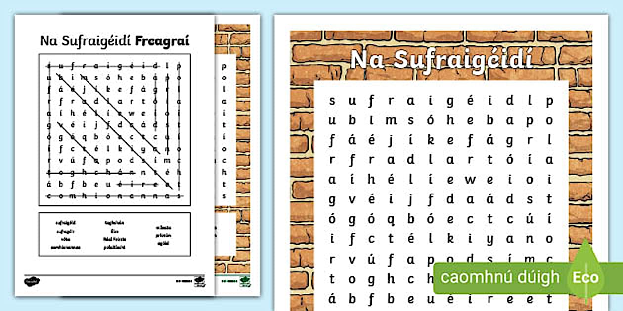Women's Suffrage in Ireland Word Search Gaeilge - Twinkl