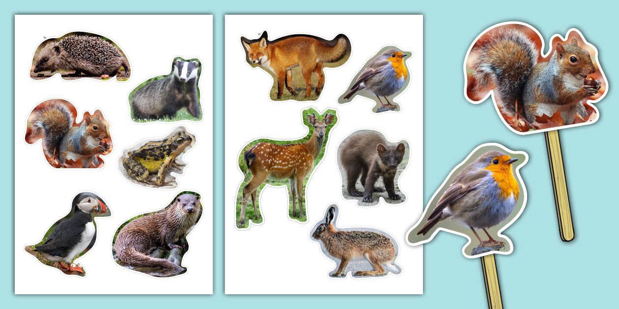 Wild Irish Animals Stick Puppets (teacher made) - Twinkl