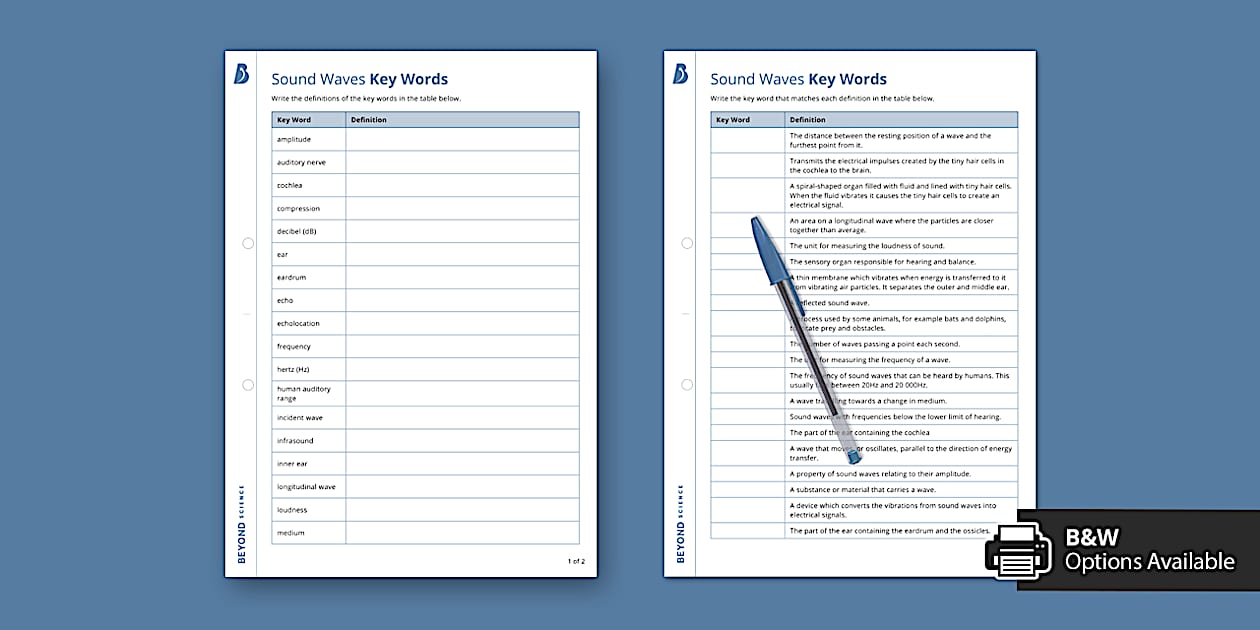 KS3 Sound Waves Key Words Activity Pack (teacher made)