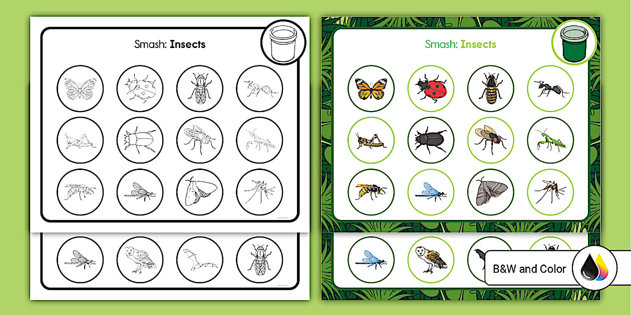 Insects Smash Mats (Hecho por educadores) - Twinkl