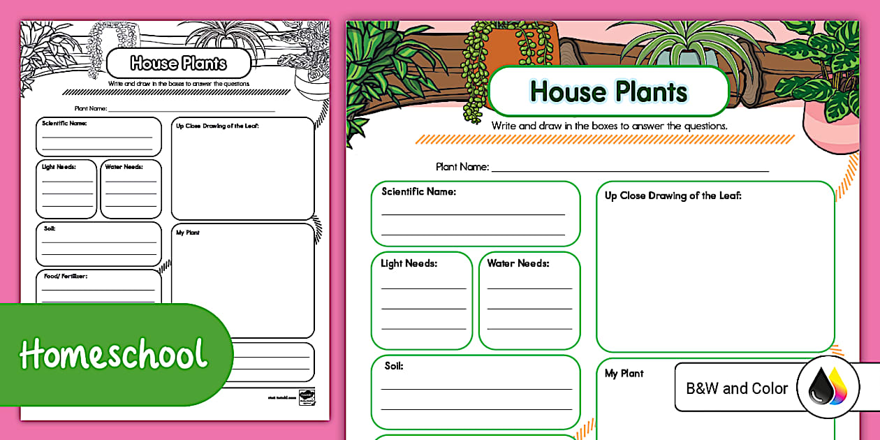 All About House Plants Research, Write, and Draw Worksheet