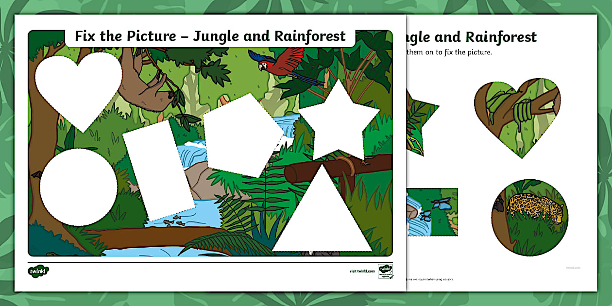 Jungle and Rainforest Fix the Picture Activity | Twinkl