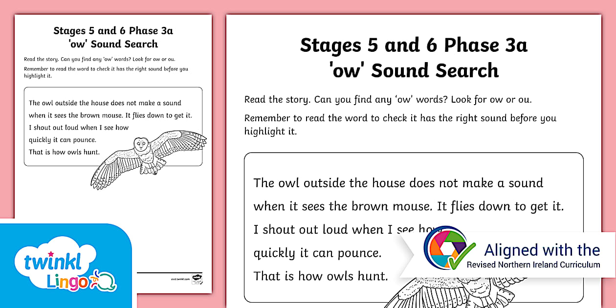 NI Linguistic Phonics 3a ‘ow’ Sound Search Worksheet