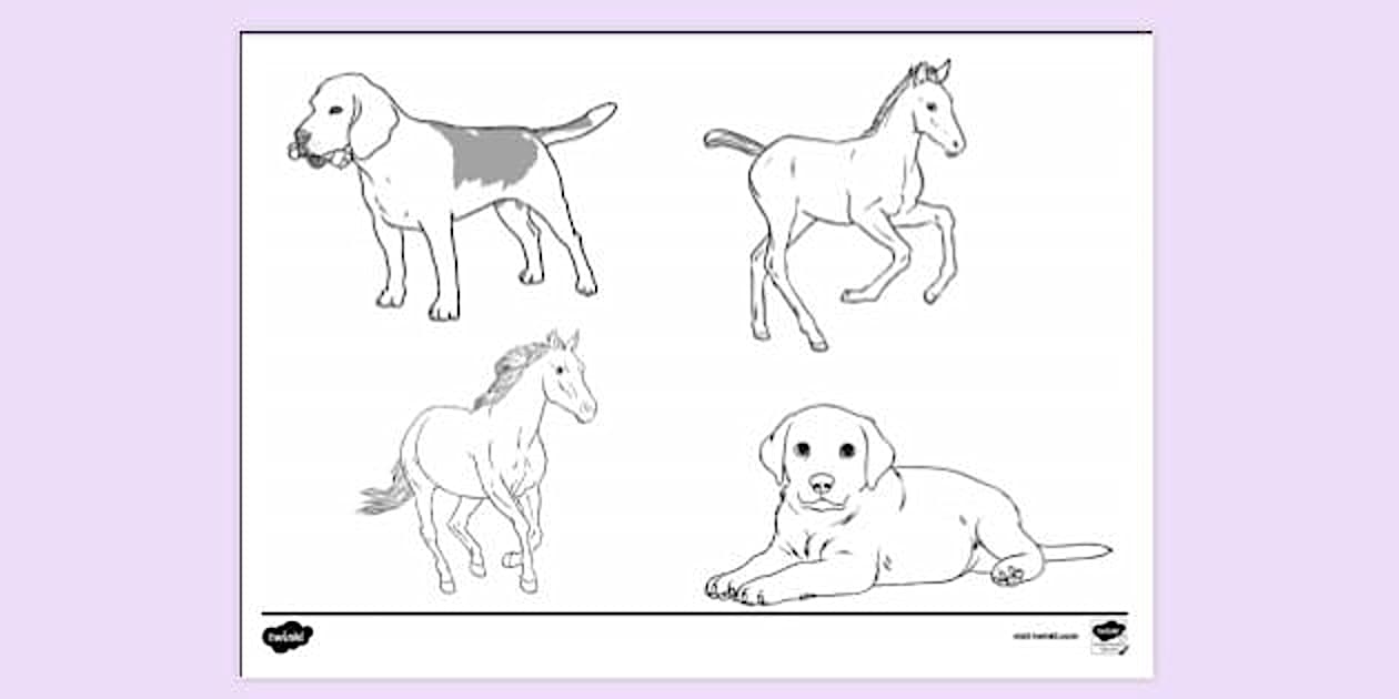 Horses and Dogs Colouring Sheet | Colouring Sheets - Twinkl