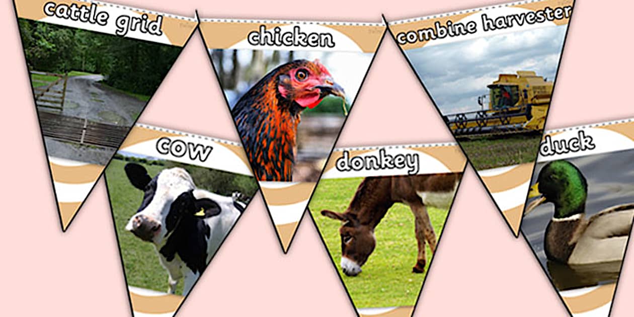 Farm Photo Display Bunting