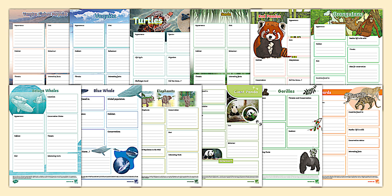 Endangered Animals Fact File Template Pack (teacher made)
