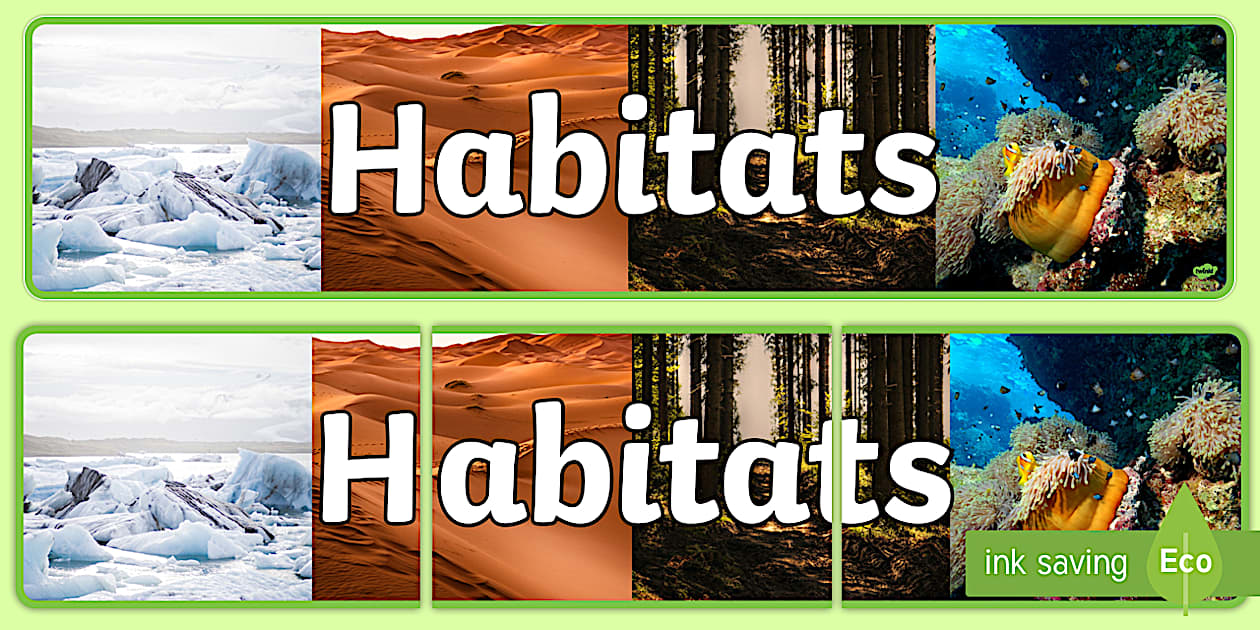 Habitats Photo Display Banner (teacher made) - Twinkl