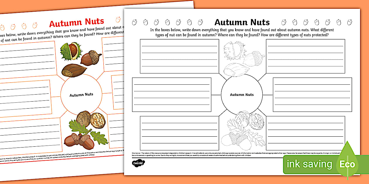 Autumn Nuts Mind Map (teacher made) - Twinkl