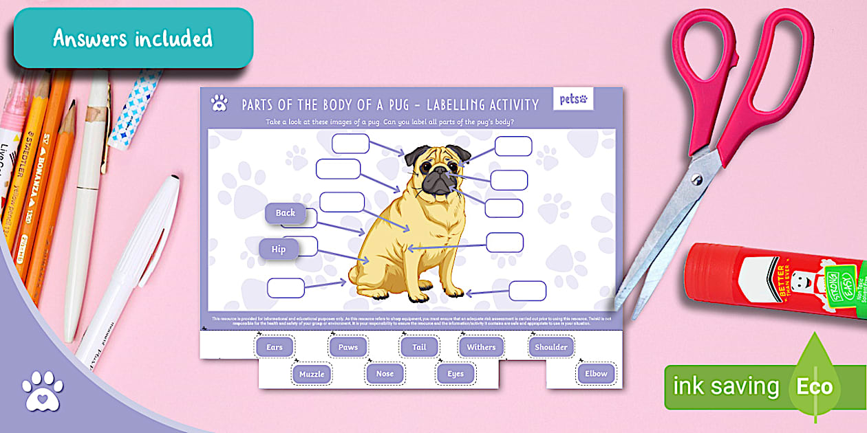 Parts of the Body of a Pug - Labelling Activity Sheet - Pets