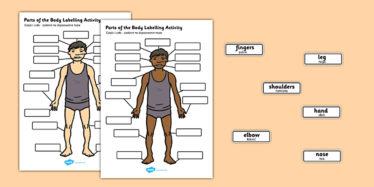 Body Parts Labelling Activity Polish Translation - Twinkl