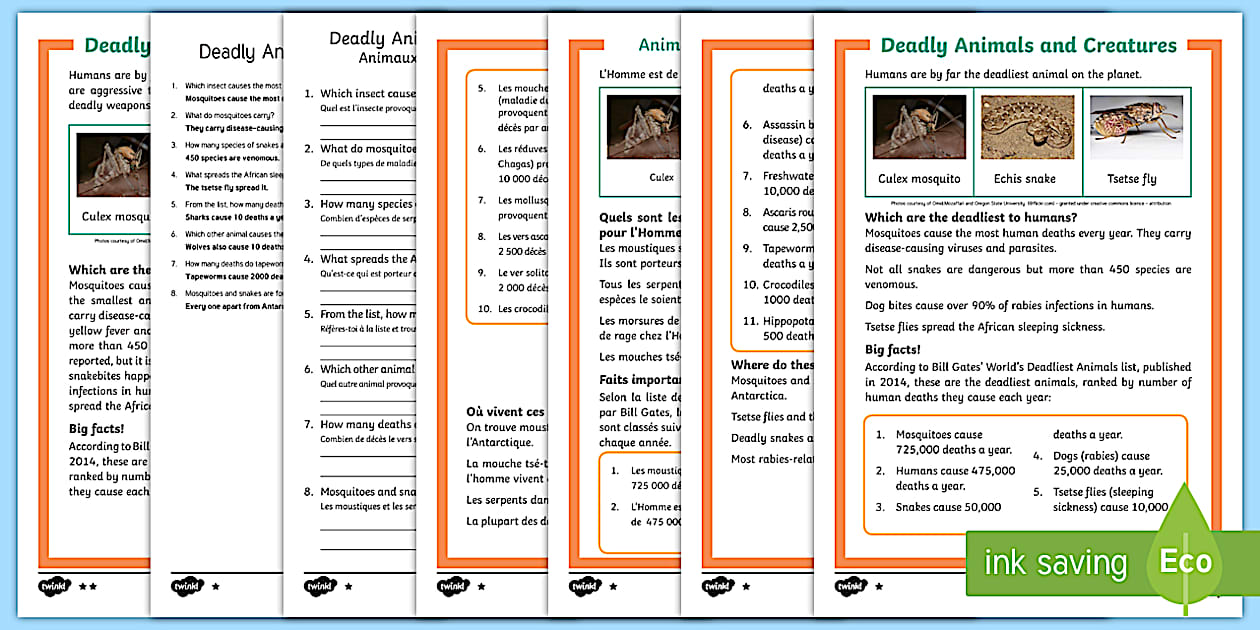 Deadly Animals and Creatures Differentiated Reading Comprehension Activity