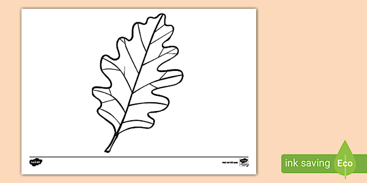 Oak Leaf Template To Colour (teacher made) - Twinkl