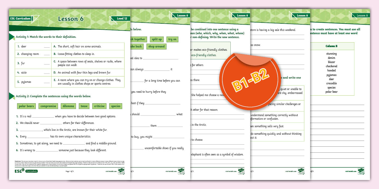 ESL Curriculum Level 12, Lesson 6 Activity Sheet - Twinkl