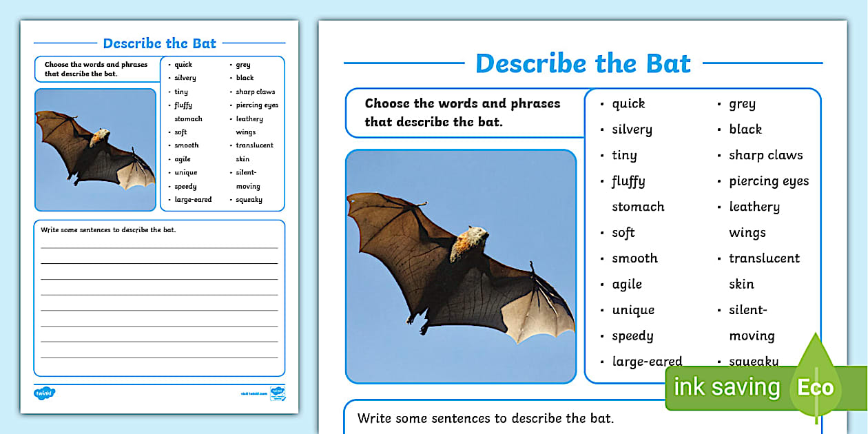 Describe the Bat Writing Worksheet (Teacher-Made) - Twinkl