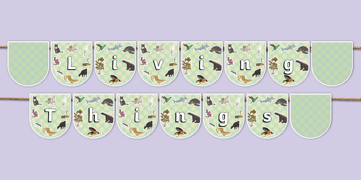 Living Things Display Bunting (Teacher-Made) - Twinkl
