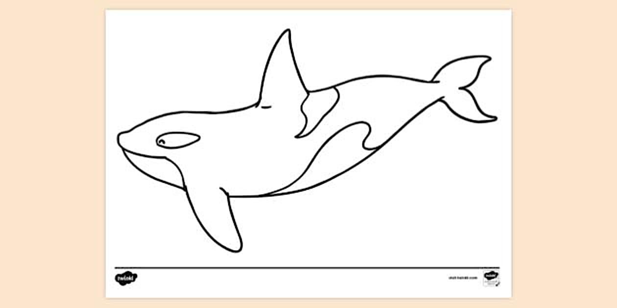 Whale Colouring Page | Colouring Sheets (teacher made)