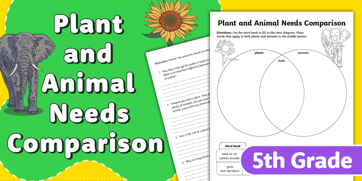 Fifth Grade Plant and Animal Needs Comparison Worksheet
