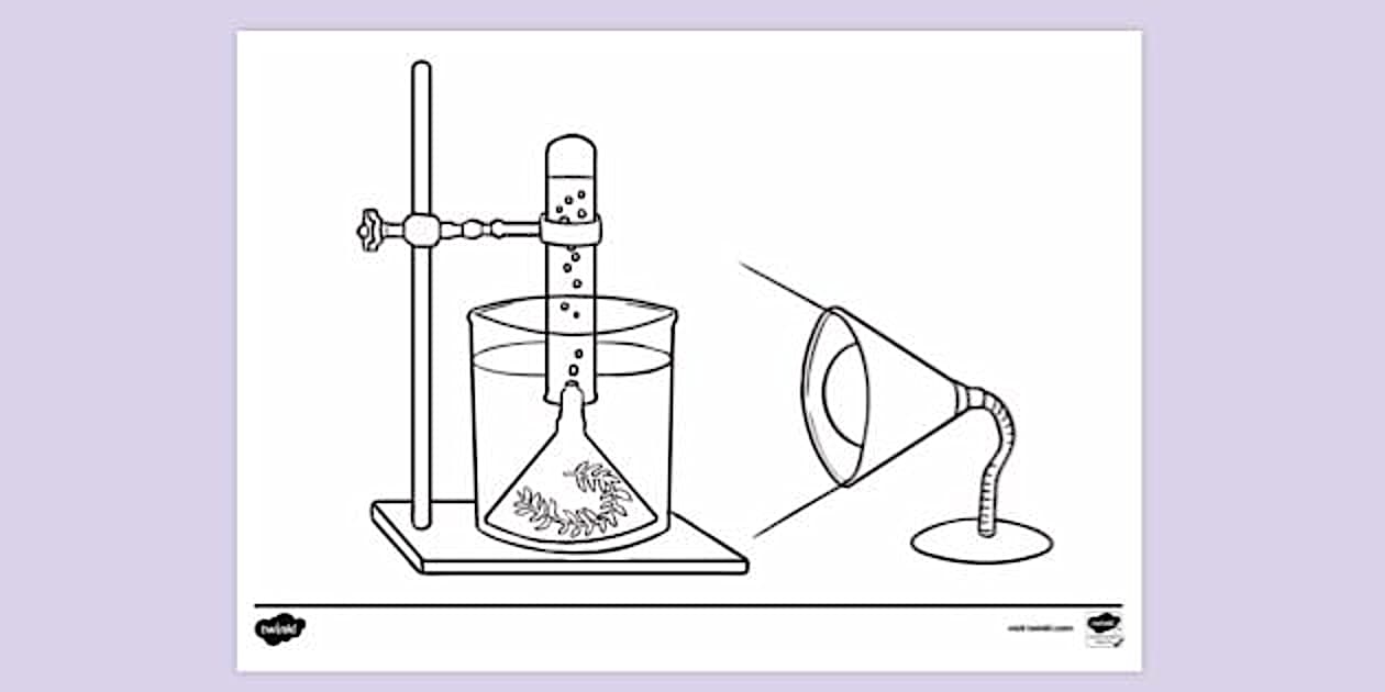 Light Intensity Photosynthesis Experiment Colouring Sheets