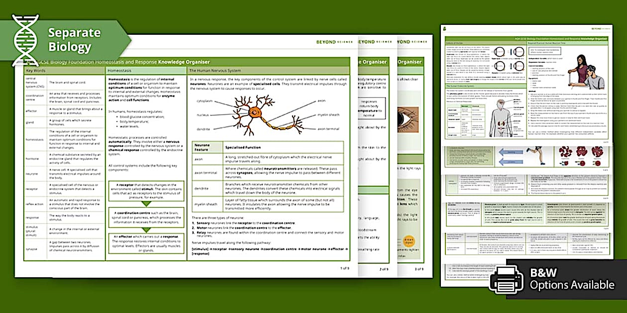 GCSE Biology: Homeostasis and Response Knowledge Organiser
