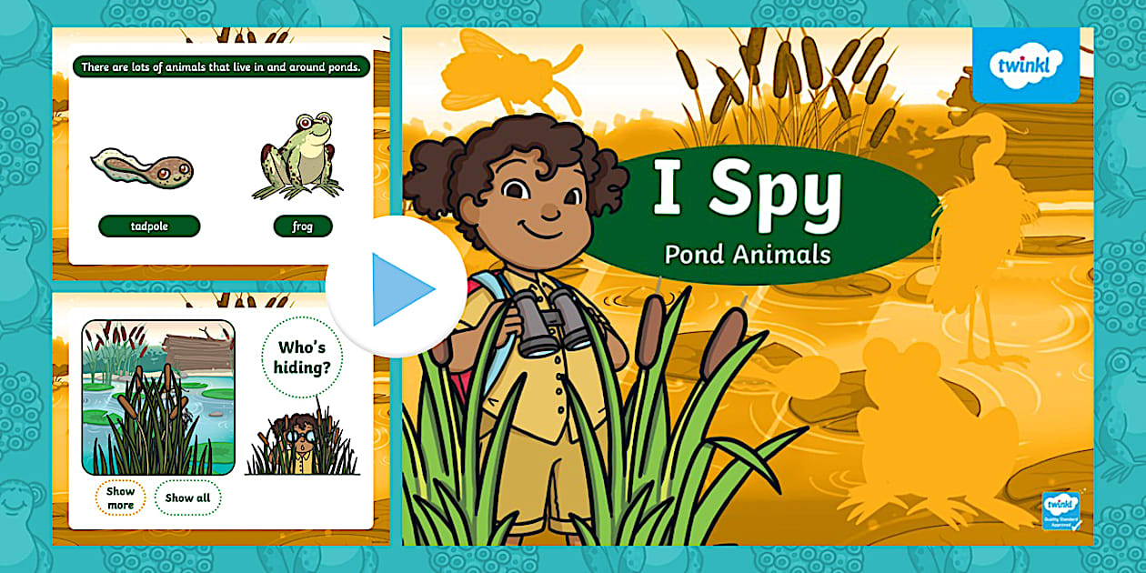 I Spy Pond Animals PowerPoint Game (teacher made) - Twinkl