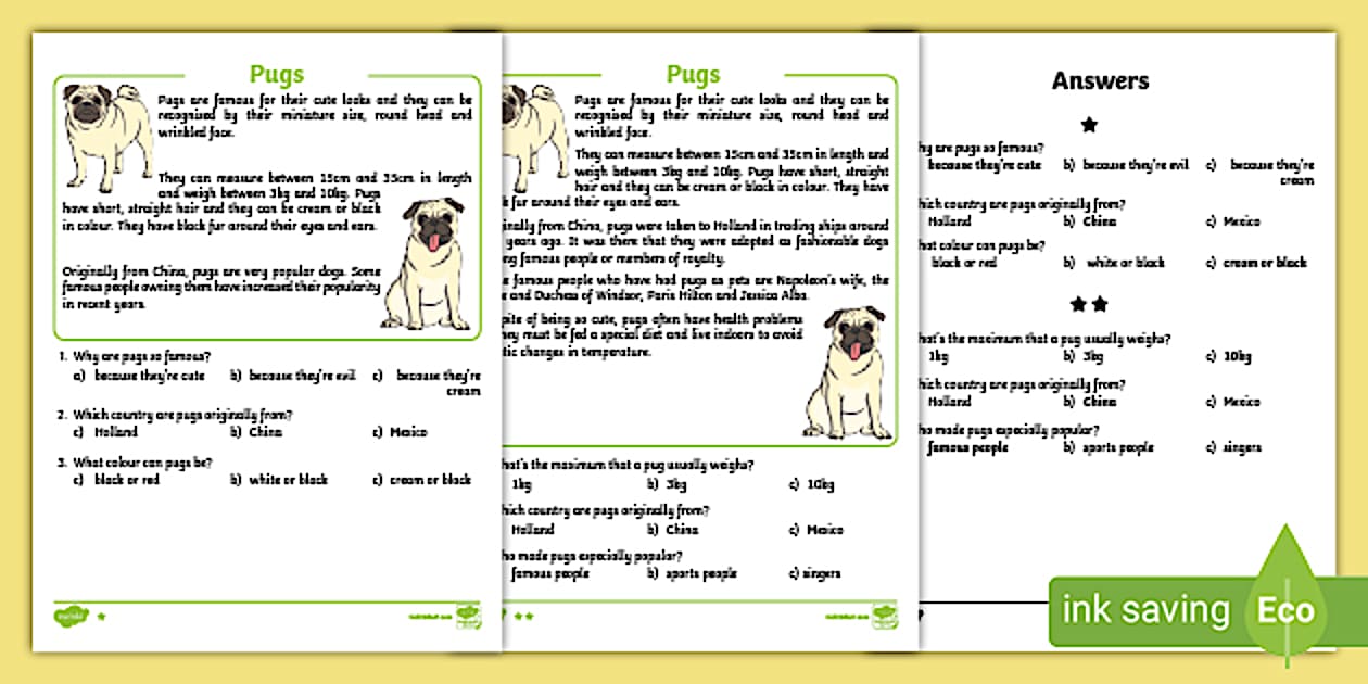 Pug Dogs Reading Comprehension Activity (teacher made)